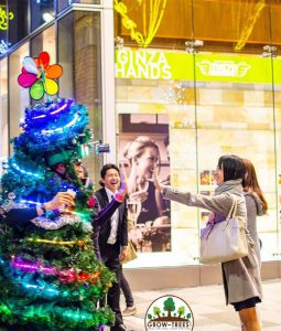 Running Christmas Tree - Grow-Trees Blog