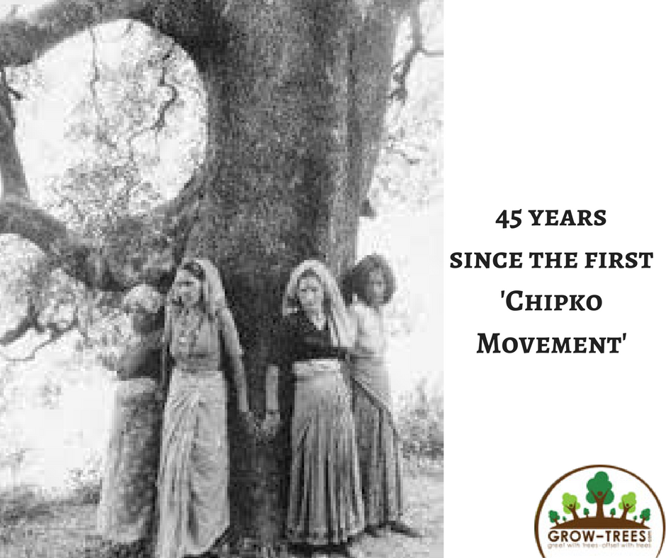 Eco-feminism: bringing together two powerful forces - Grow-Trees Blog