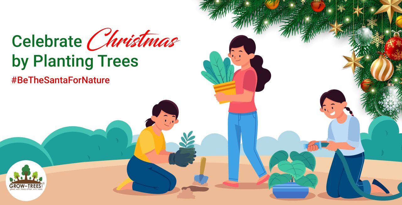 A Tree-mendous Christmas! - Grow-Trees Blog