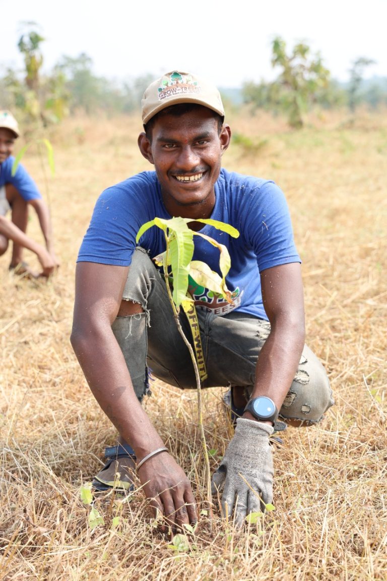 Our cities need more trees! - Grow-Trees Blog