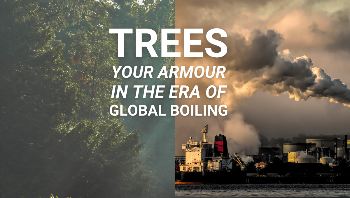 Trees - Your Armour In The Era Of Global Boiling - Grow-Trees Blog