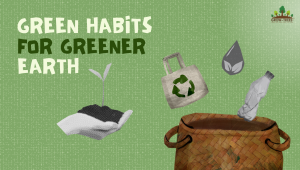 Green Habits for Greener Earth: Small Steps towards a Big Goal - Grow ...